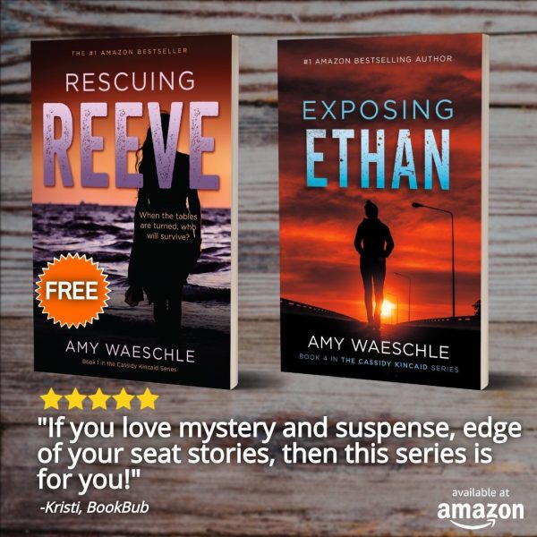 Books, Beaches and Brine - Edgar Allan Poe and Amy Waeschle’s new book ...